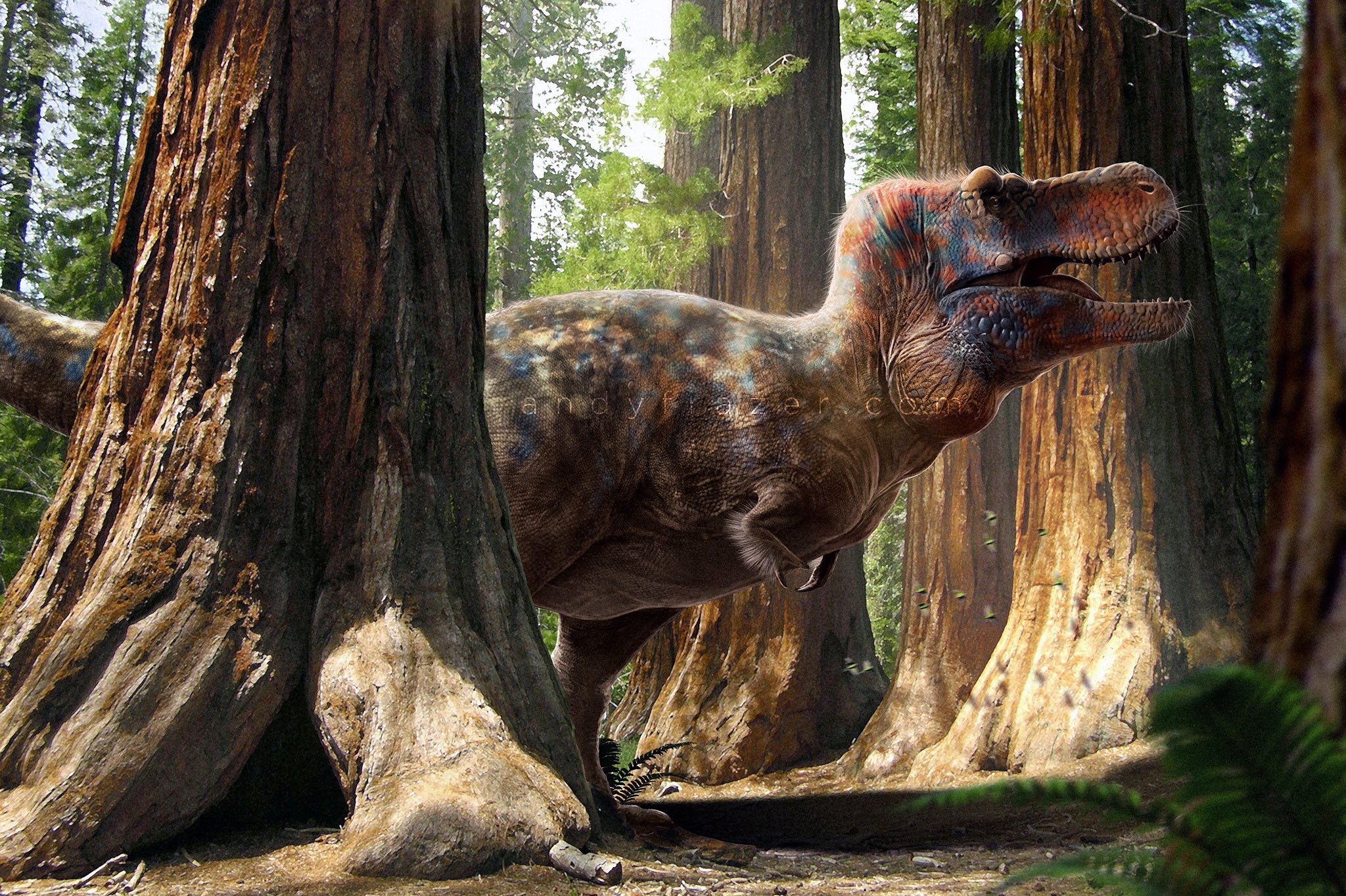 trex – School partnerships alliance